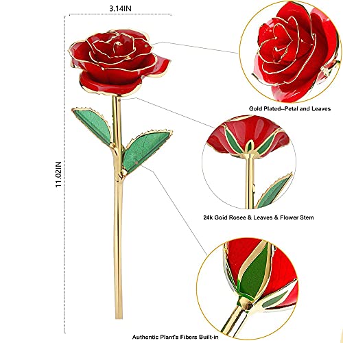 MNIEYU Gold Rose 24K Plated Gold Dipped Rose, Forever Preserved Red Rose Flowers with Stand,Romantic Gift for Valentine's Day and Anniversary, Best Gifts for Her, Wife,Girlfriend, Mothers Day,Birthday