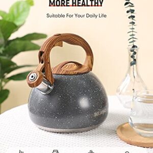 Tea Kettle, 2.7 Quart BELANKO Teapot for Stovetops Wood Pattern Handle with Loud Whistle Food Grade Stainless Steel Tea Pot Water Kettle - Gray