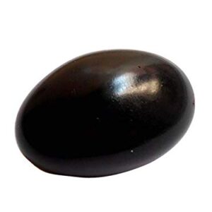 SoilMade Black Marble Shaligram, Oval Shape, Stone Made, Size Aprox 3cm and 60g, Pack of 1 Black Marble Shaligram in Box