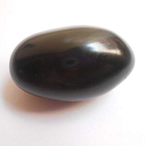 SoilMade Black Marble Shaligram, Oval Shape, Stone Made, Size Aprox 3cm and 60g, Pack of 1 Black Marble Shaligram in Box