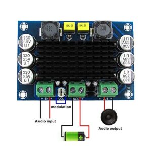 HiLetgo 2pcs TPA3116 100W Audio Amplifier Board DC 12V 24V TPA3116DA Mono Channel Digital Audio Amplifier Board High Power AMP Module