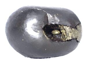 rudrakshguru laxmi narsimha shaligram