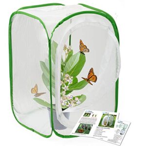 restcloud insect and butterfly habitat cage terrarium pop-up 24 inches tall with zipper protection