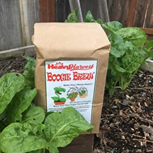 Boogie Brew Compost Tea 2 Part Formula, 3 Pounds. The Organic Compost Tea That Combines 17 Powerful Ingredients and 1 Pound Boogie Black Bundle