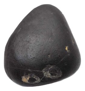 rudrakshguru matsya shaligram - gandaki river nepal