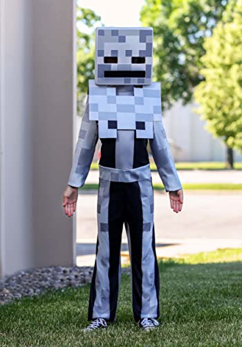 Disguise Minecraft Skeleton Costume for Kids, Video Game Inspired Character Outfit, Classic Child Size Small (4-6),Gray