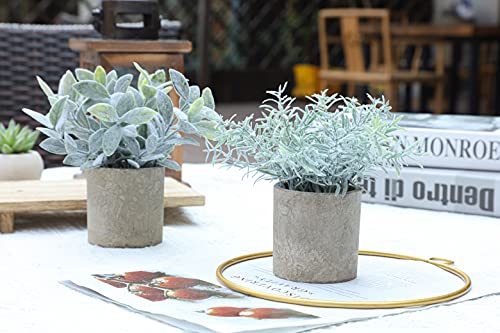 Miracliy Mini Potted Fake Plants Faux Artificial Eucalyptus Boxwood Rosemary Greenery in Gray Pots for Home Office Desk Bathroom Decoration Garden Decor, Indoor & Outdoor,Set of 4