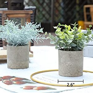 Miracliy Mini Potted Fake Plants Faux Artificial Eucalyptus Boxwood Rosemary Greenery in Gray Pots for Home Office Desk Bathroom Decoration Garden Decor, Indoor & Outdoor,Set of 4