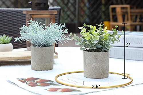 Miracliy Mini Potted Fake Plants Faux Artificial Eucalyptus Boxwood Rosemary Greenery in Gray Pots for Home Office Desk Bathroom Decoration Garden Decor, Indoor & Outdoor,Set of 4