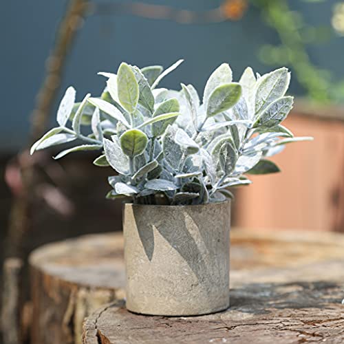 Miracliy Mini Potted Fake Plants Faux Artificial Eucalyptus Boxwood Rosemary Greenery in Gray Pots for Home Office Desk Bathroom Decoration Garden Decor, Indoor & Outdoor,Set of 4