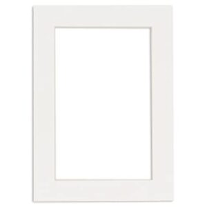 CountryArtHouse Textured White Acid Free 16x20 Picture Frame Mats with White Core Bevel Cut for 12x18 Pictures - Fits 16x20 Frame - One Mat