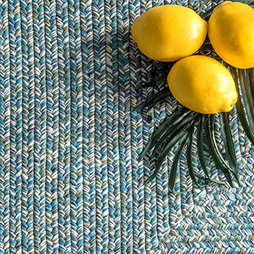 nuLOOM Wynn Braided Indoor/Outdoor Accent Rug, 3x5, Aqua