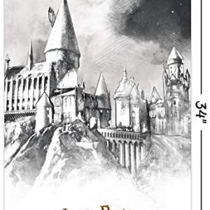 Trends International The Wizarding World: Harry Potter - Illustrated Hogwarts Wall Poster, 22.375" x 34", Poster & Mount Bundle