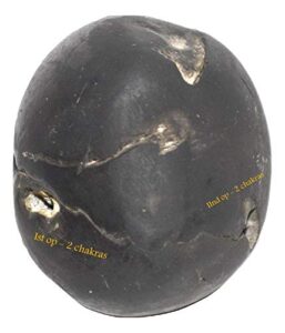 rudrakshguru janardhana shaligram - gandaki river nepal