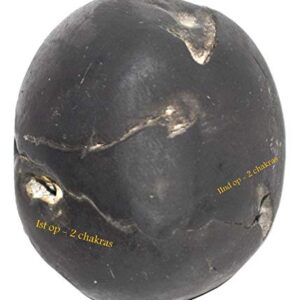 Rudrakshguru Janardhana Shaligram - Gandaki River Nepal