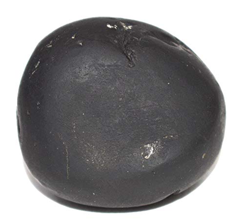 Rudrakshguru Janardhana Shaligram - Gandaki River Nepal