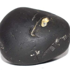 Rudrakshguru Janardhana Shaligram - Gandaki River Nepal