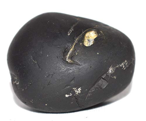 Rudrakshguru Janardhana Shaligram - Gandaki River Nepal