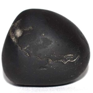 Rudrakshguru Janardhana Shaligram - Gandaki River Nepal