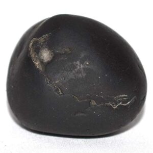 Rudrakshguru Janardhana Shaligram - Gandaki River Nepal