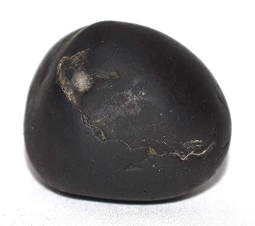 Rudrakshguru Janardhana Shaligram - Gandaki River Nepal