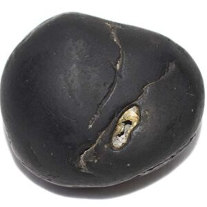 Rudrakshguru Janardhana Shaligram - Gandaki River Nepal