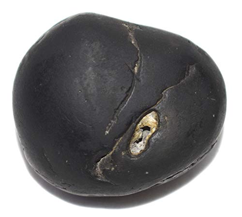 Rudrakshguru Janardhana Shaligram - Gandaki River Nepal