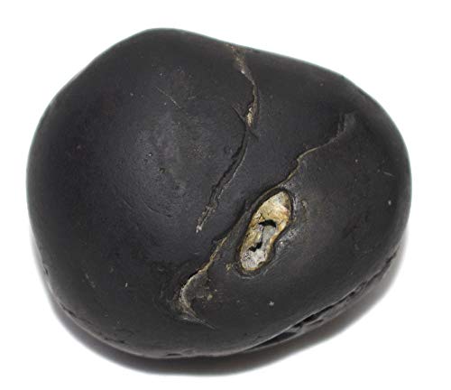 Rudrakshguru Janardhana Shaligram - Gandaki River Nepal