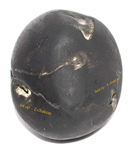 Rudrakshguru Janardhana Shaligram - Gandaki River Nepal