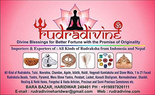 rudradivine Original Shaligram Shila Kantha with Gold Plated Cap Chain/Shaligram Big mala | Real Shaligram Stone from Gandak River Nepal | 32+1 Beads