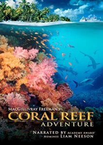 coral reef adventure