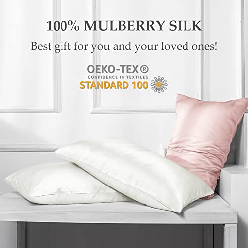 OLESILK 22 Momme Mulberry Silk Pillowcase Queen Size 20''x30'', 100% Pure Silkfor Hair and Skin with Hidden Zipper, Both Sides 750 Thread Count Washable Real Silk Pillow Cover, Ivory