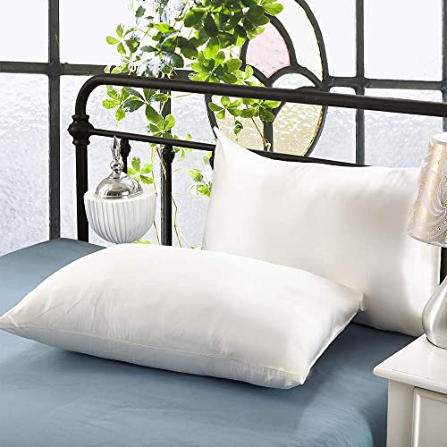 OLESILK 22 Momme Mulberry Silk Pillowcase Queen Size 20''x30'', 100% Pure Silkfor Hair and Skin with Hidden Zipper, Both Sides 750 Thread Count Washable Real Silk Pillow Cover, Ivory