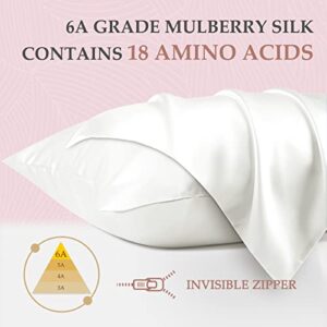 OLESILK 22 Momme Mulberry Silk Pillowcase Queen Size 20''x30'', 100% Pure Silkfor Hair and Skin with Hidden Zipper, Both Sides 750 Thread Count Washable Real Silk Pillow Cover, Ivory