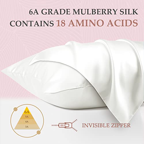 OLESILK 22 Momme Mulberry Silk Pillowcase Queen Size 20''x30'', 100% Pure Silkfor Hair and Skin with Hidden Zipper, Both Sides 750 Thread Count Washable Real Silk Pillow Cover, Ivory