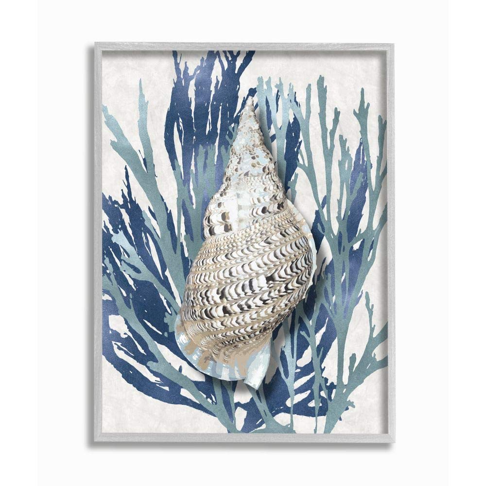 Stupell Industries Shell Coral Blue Beach Design, Designed by Caroline Kelly Wall Art, 11 x 14, Grey Framed