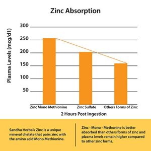 Zinc 50mg Supplement 120 Vegetarian Capsules, Zinc Highly Absorbable Supplements for Immune Support System, Gluten Free Zinc Supplement