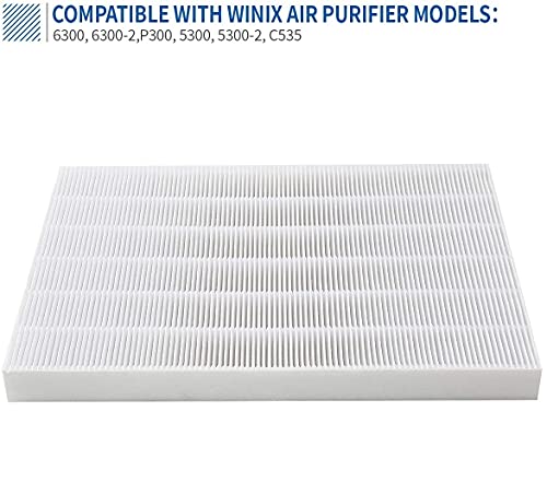 Gazeer 2 True HEPA Filter Replacement Filter A and 8 Carbon Pre Filters Set Compatible with Winix 115115 PlasmaWave Size 21. Fits Model WAC5300, WAC5500, WAC6300, 5000, 5000b, 5300, 5500-2, P300, C535