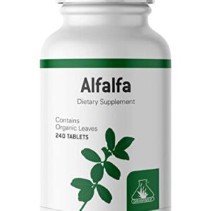 Graminex Alfalfa Tablets - Non-GMO Green Superfood Supplement with Vitamins, Minerals, Amino Acids - 240 Tablets