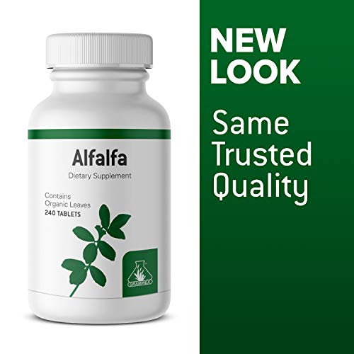 Graminex Alfalfa Tablets - Non-GMO Green Superfood Supplement with Vitamins, Minerals, Amino Acids - 240 Tablets