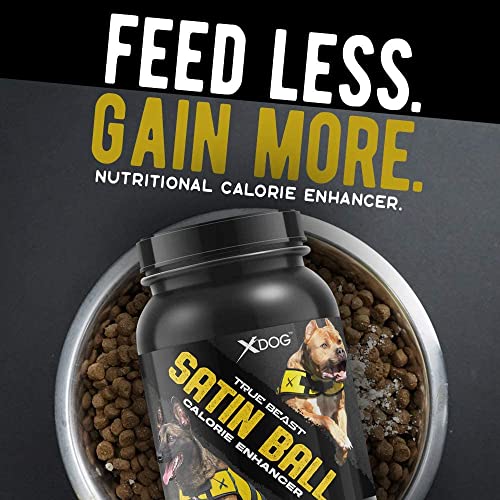 True Beast Satin Balls Recipe For Dogs High Calorie Enhancer - Combines Superfood Bone Broth Protein, Beef Collagen, Coconut Oil And Chia Seed. All Natural, Healthy Weight Gainer For Dogs. (4140 Cals)