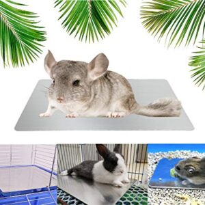 Comtim Pet Cooling Mat for Rabbit Hamsters, Self Cooling Mat Pad for Hamster Guinea Pig Chinchilla Kitten Cat and Other Small Animals, Pet Cool Plate Ice Bed - Perfect for Hot Summer Weather, S