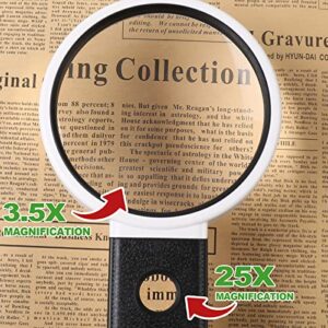 Magnifying Glass with Light, DEYUE 3.5X 25X High Magnification with LED Illuminated, Handheld or Stand Magnifying Glass for Reading, Inspection