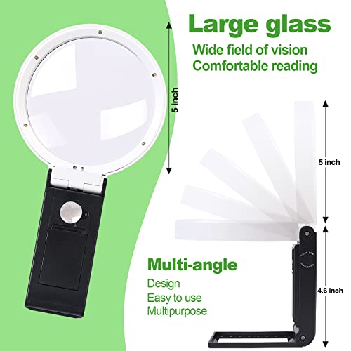 Magnifying Glass with Light, DEYUE 3.5X 25X High Magnification with LED Illuminated, Handheld or Stand Magnifying Glass for Reading, Inspection