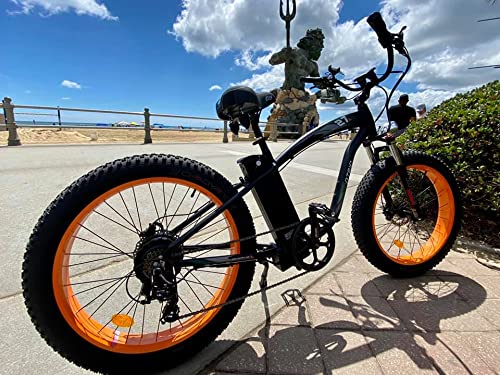 ECOTRIC Electric Bike 26" Fat Tire 750W Electric Bicycles 48V 13AH Removable Large Battery Beach Snow Mountain E-Bike for Adults UL Certified with Dual Shock Absorber & Shimano 7-Speed