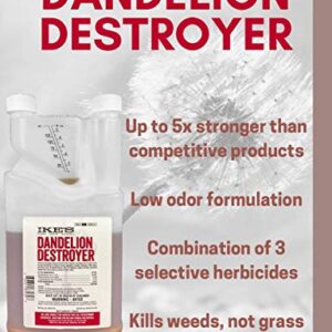 Ike's Dandelion Destroyer | Lawn Weed Killer | Kills Weeds Not Grass | Three-Way Herbicide (32 oz (Quart))