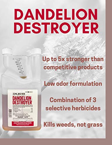 Ike's Dandelion Destroyer | Lawn Weed Killer | Kills Weeds Not Grass | Three-Way Herbicide (32 oz (Quart))