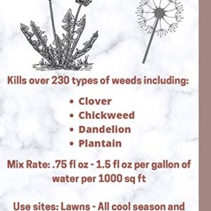 Ike's Dandelion Destroyer | Lawn Weed Killer | Kills Weeds Not Grass | Three-Way Herbicide (32 oz (Quart))