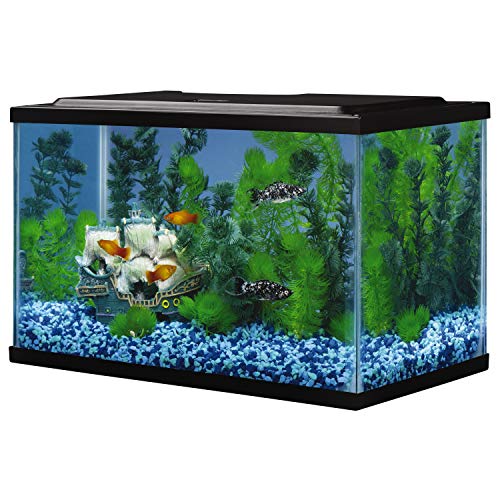 Tetra Glass Aquarium 5.5 Gallons, Rectangular Fish Tank