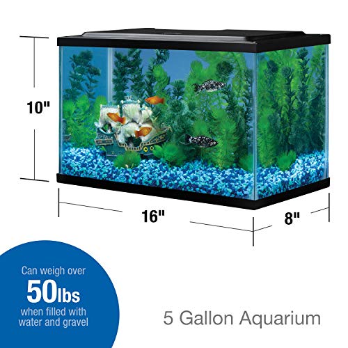 Tetra Glass Aquarium 5.5 Gallons, Rectangular Fish Tank